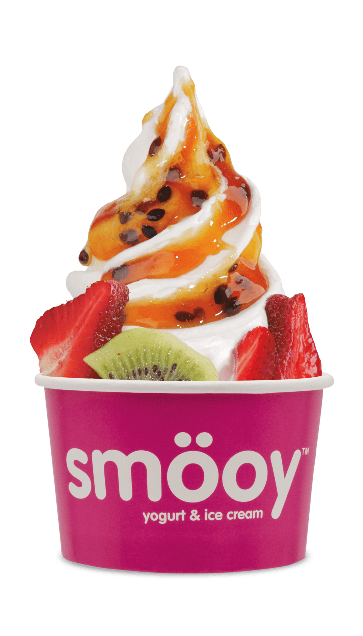 Smöoy Products Menu | Frozen yogurt franchise | smooy